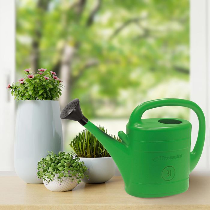 Prosperplast Gießkanne Spring IKSP03-G642, Kunststoff, grün, mit ...