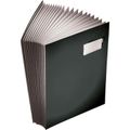 Leitz Unterschriftenmappe 5700-00-95, A4, 20 Fächer, Hartpappe mit ...