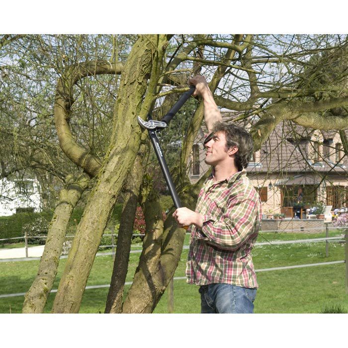 Astschere – günstig kaufen – Böttcher AG